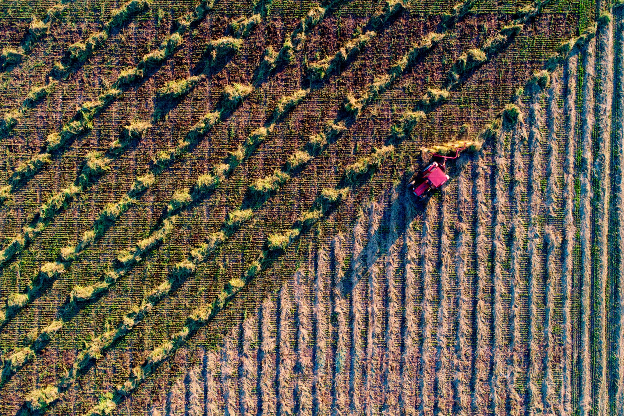 Essere smart significa guardare al futuro | Enerfarm